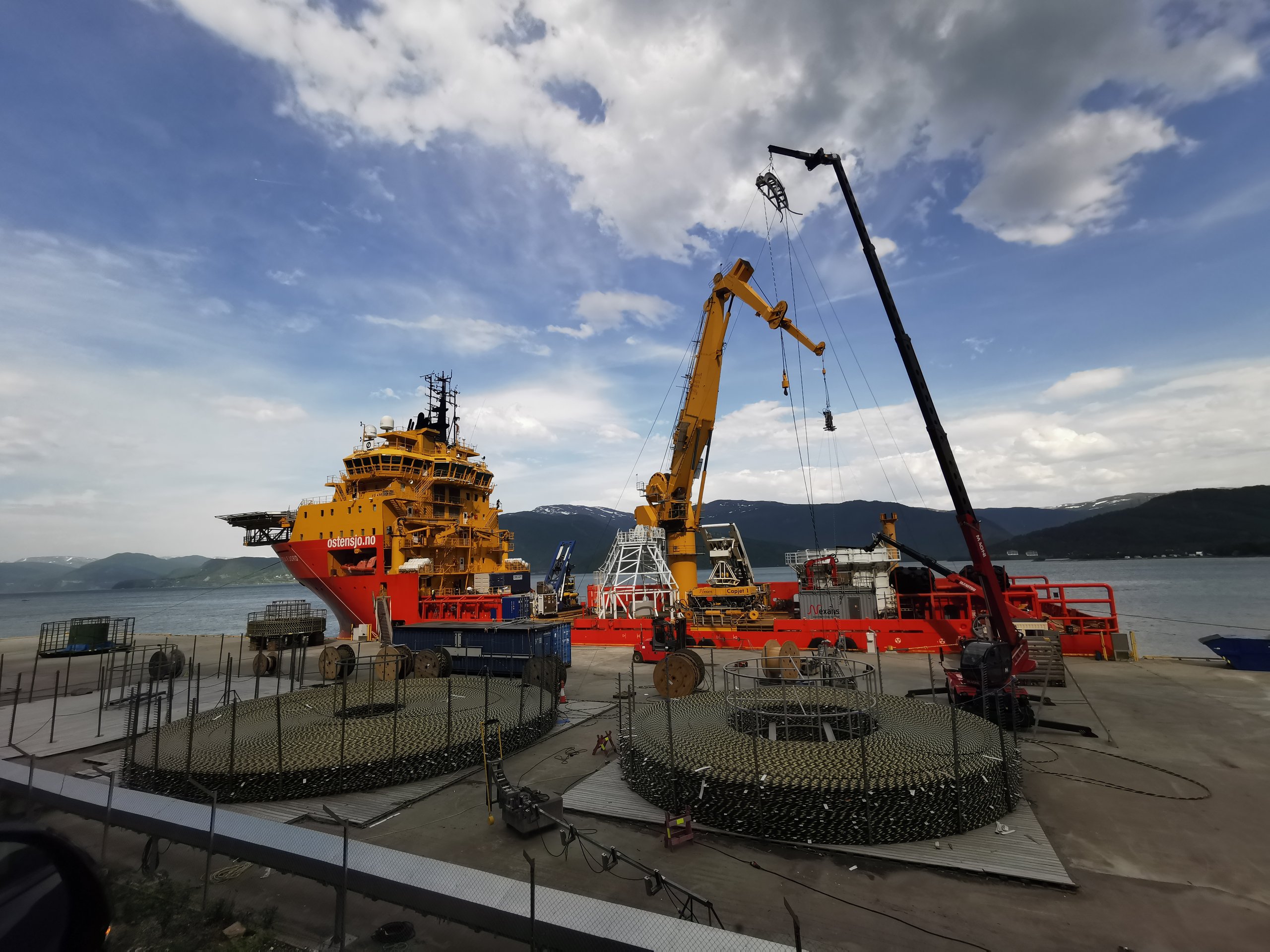 NORFEST - The Nordic Festoon